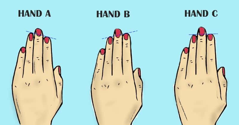 Fingers Names Of Human Body Parts, Vector Cartoon, 41% OFF